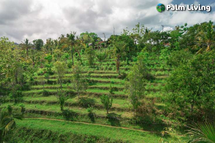 Unique Land Shape in the Hills Cempaga Village BPI Bali