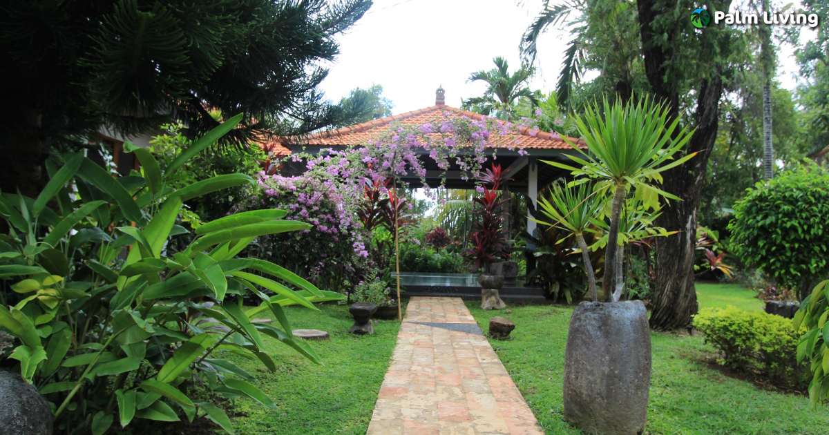 3 Bedroom Villa With Guest House Large Garden, Unique Villa BPI Bali
