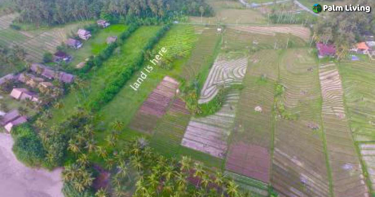 4 Plots Of Land For Sale In West Bali Tabanan Regency, Bali, Indonesia ...