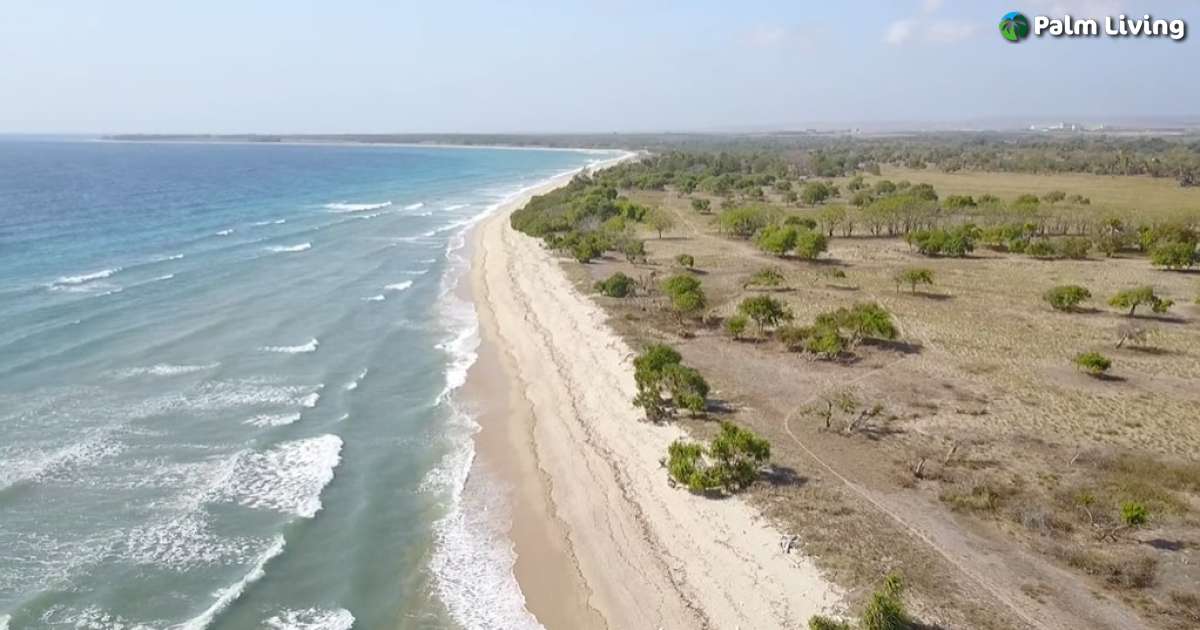 Seaside Prime Land near Wera Beach for Sale Sumba Island Walakiri Beach ...